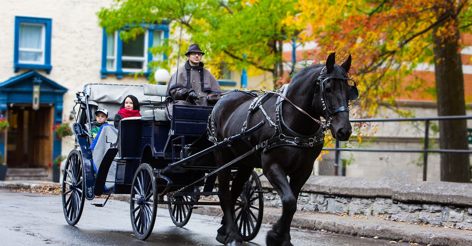 About - Calèches Québec