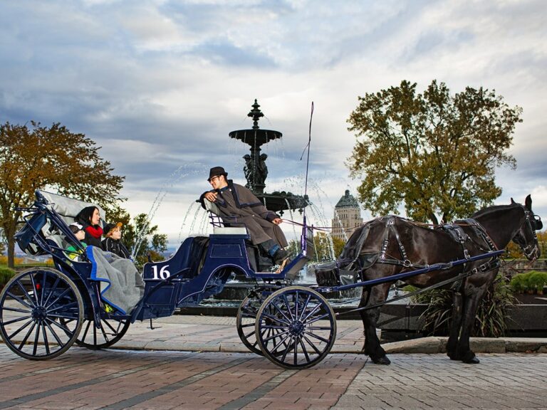 Calèches Québec : Custom carriage services in Quebec City